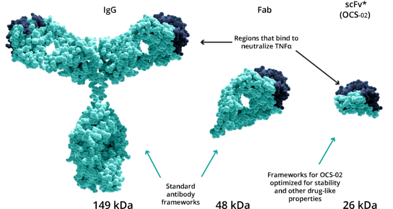 Optireach Technology & Scientific Approach for Eye Drop Drug - Oculis